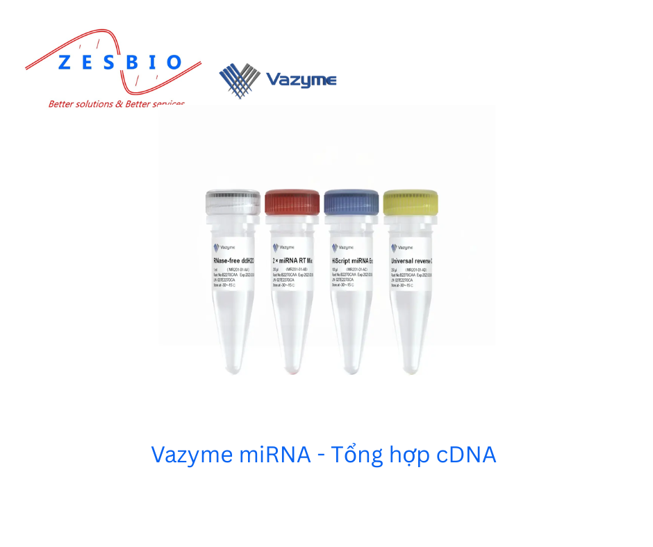 Vazyme miRNA 1st Strand cDNA Synthesis Kit (by stem-loop) - Công ty Cổ ...