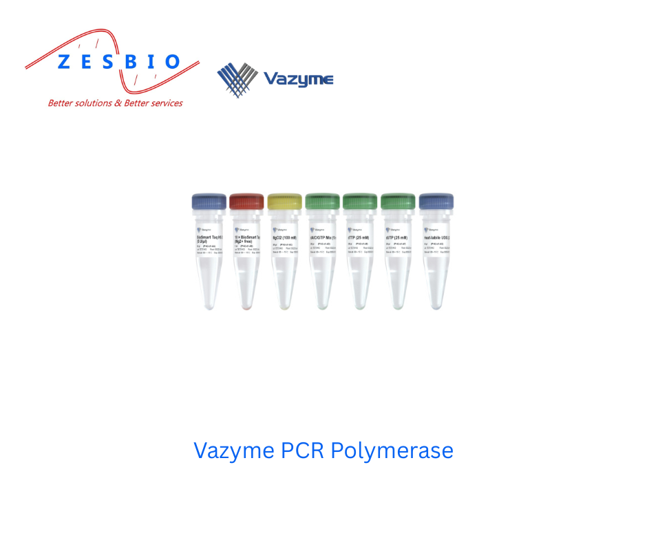 Vazyme PCR MIX - Taq DNA Polymerase (Mg2+ plus Buffer) - Công ty Cổ ...